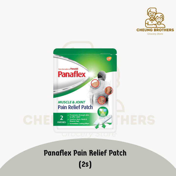 Panaflex Pain Relief Patch (2s) | Lazada