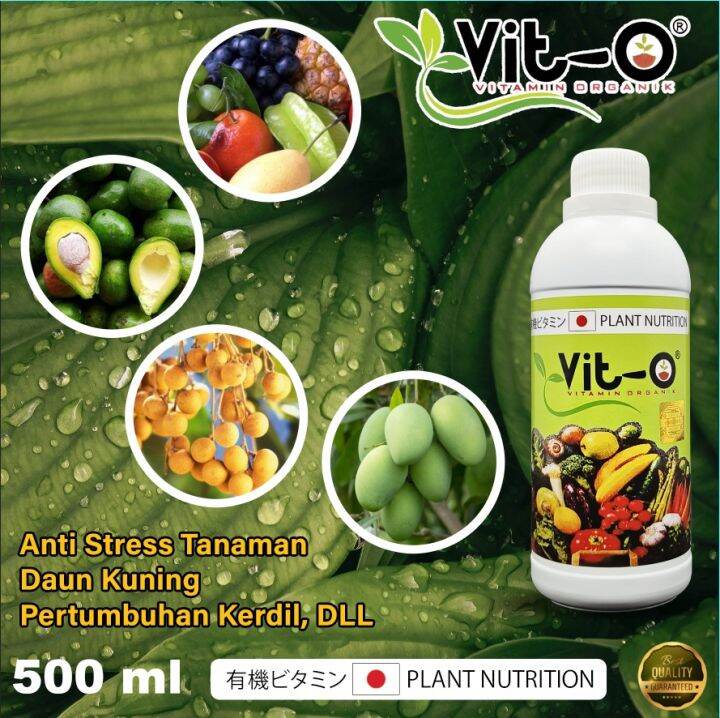 Pupuk Vit-O Plant Nutrition kemasan 500ml | Lazada Indonesia