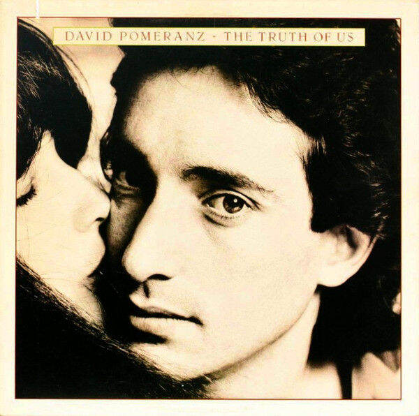 David Pomeranz – The Truth Of Us LP Record Vinyl Plaka ( b88 | Lazada PH