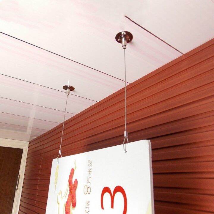 2Pack Ceiling Mount Gallery Large Picture/Billboard/Painting/Art ...