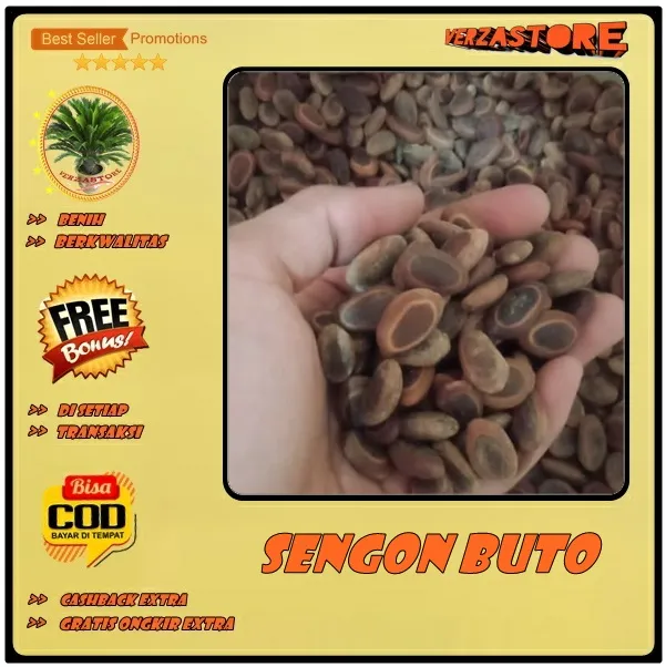 biji benih tanam pohon sengon buto /10 biji | Lazada Indonesia
