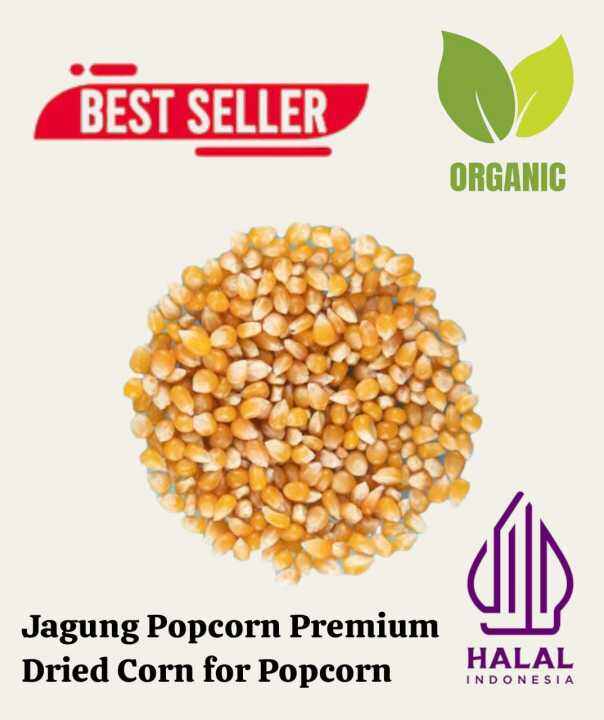 Jagung PopCorn 100gr / Dried Corn Popcorn / Jagung Popcorn Impor Best ...
