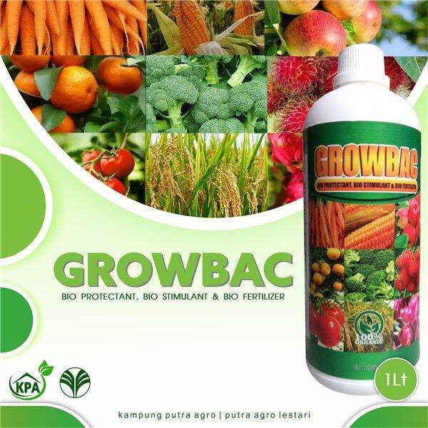 Pupuk Organik Cair merangsang Perakaran dan Batang-Rizhobacter-Bio ...