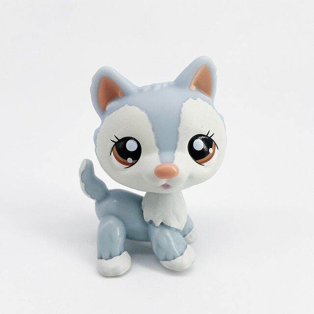 Lps ป้ายร้านของเล่นแมวสัตว์เลี้ยงที่หายากขนสั้นลูกแมวสุนัขดัชชุนคอลลี่ ...