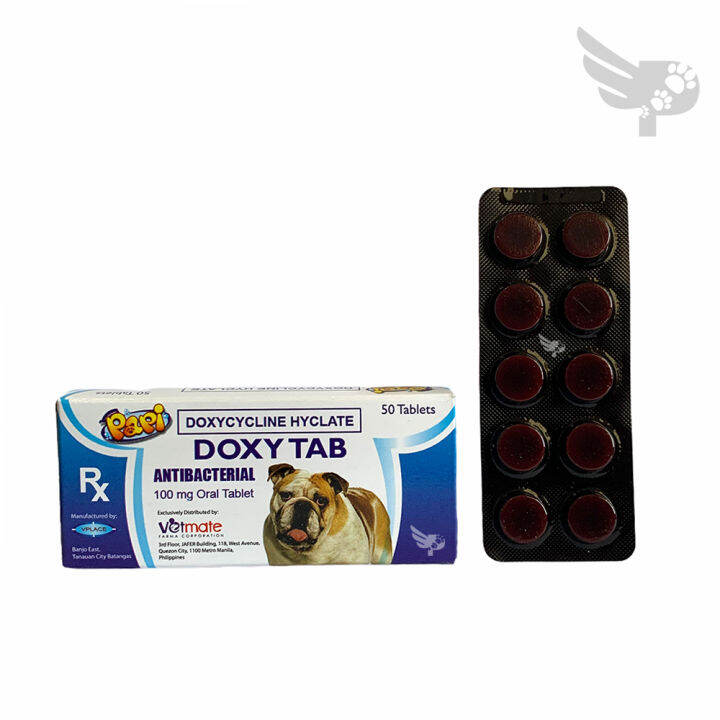 Papi - Doxy Tab - sold per 10 tablets | Lazada PH