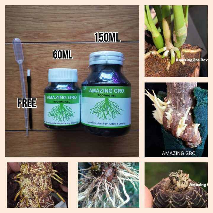 Amazing Gro Rooting Gel 生根激素凝胶 Gel Hormon Penggalak Akar | Lazada