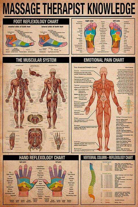 Massage Therapist Knowledge Canvas Wall Art Emotion Pain Chart Foot ... Massage Therapist Knowledge Canvas Wall Art Emotion Pain Chart Foot ...