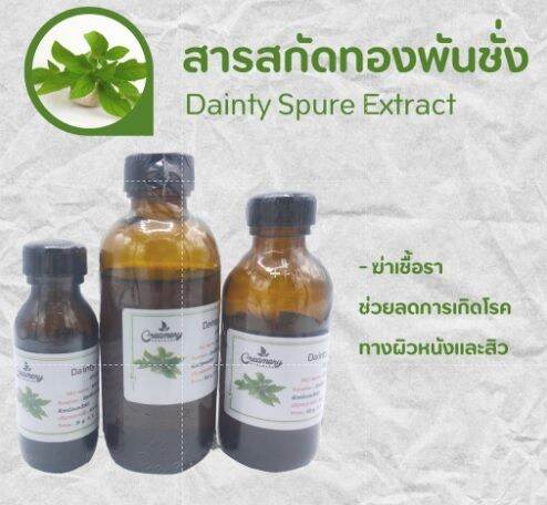 สารสกัดทองพันชั่ง Dainty Spure Extract | สารสกัดสมุนไพร | สำหรับผสม ...