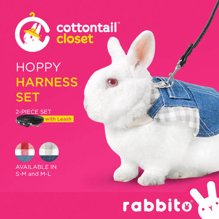 Cottontail Closet HOPPY HARNESS SET Cute Costume Clothes for rabbits ...