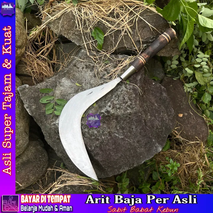 Arit Sabit Rumput Baja Per Asli Super Tajam Sabit Kebun Arit Madura Arit Babat Alang-Alang Arit ...