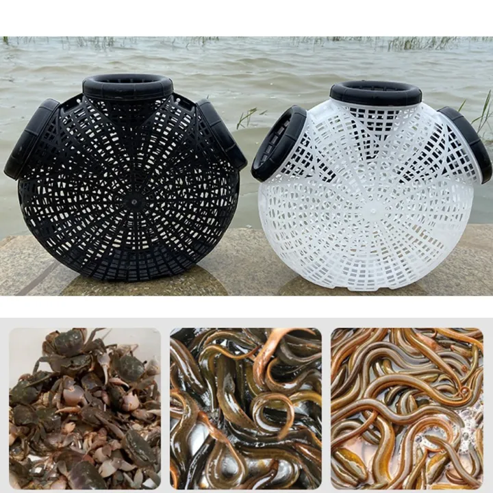 1* Eel Cage Eal And Lobster One Nest Fishing Cage One Nest Fishing Cage ...