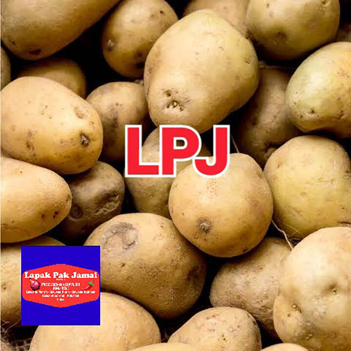 Kentang DIENG KUNING - 1 Kg - LPJ | Lazada Indonesia