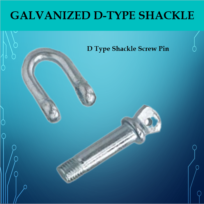 Equipment Pro 6mm-10mm-14mm Shackle D type Shackle European Type ...