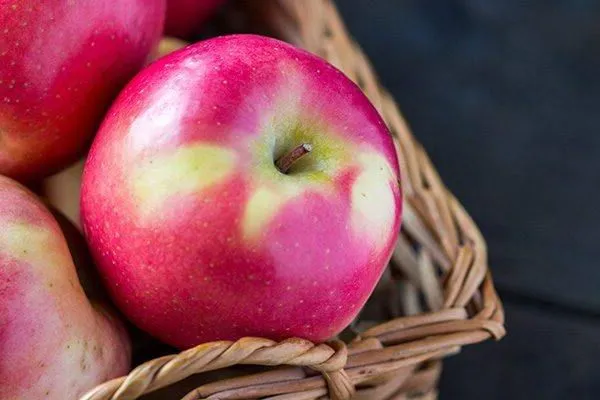 20 เมล็ด เมล็ดแอปเปิ้ล สายพันธุ์ แอปเปิลแปซิฟิกโรส (Pacific Rose Apple ...