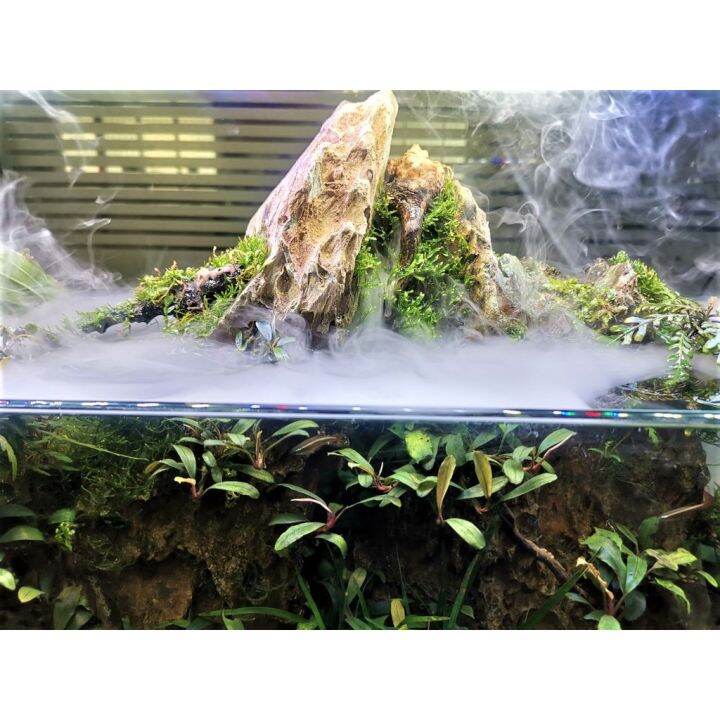 ♤Mist Maker aquarium terrarium viviparium riparium | Lazada PH