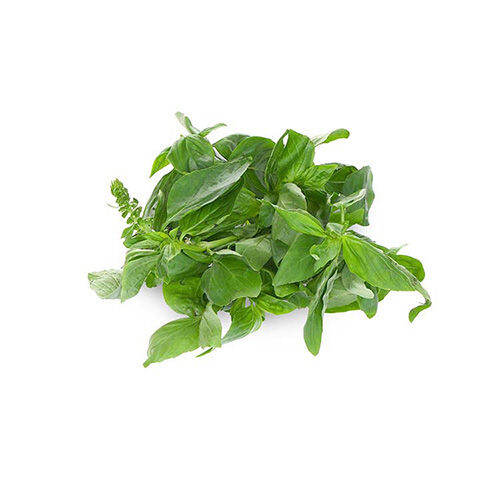 Zagana Farm Fresh Vegetables Market Basil Leaves 1 Tali | Lazada PH