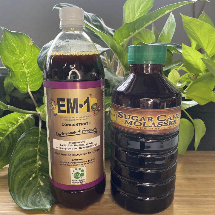 Tanim Tayo Bundle Set EM-1 + Molasses | EM-1 1 Liter + Molasses 1.5 kg | Lazada PH