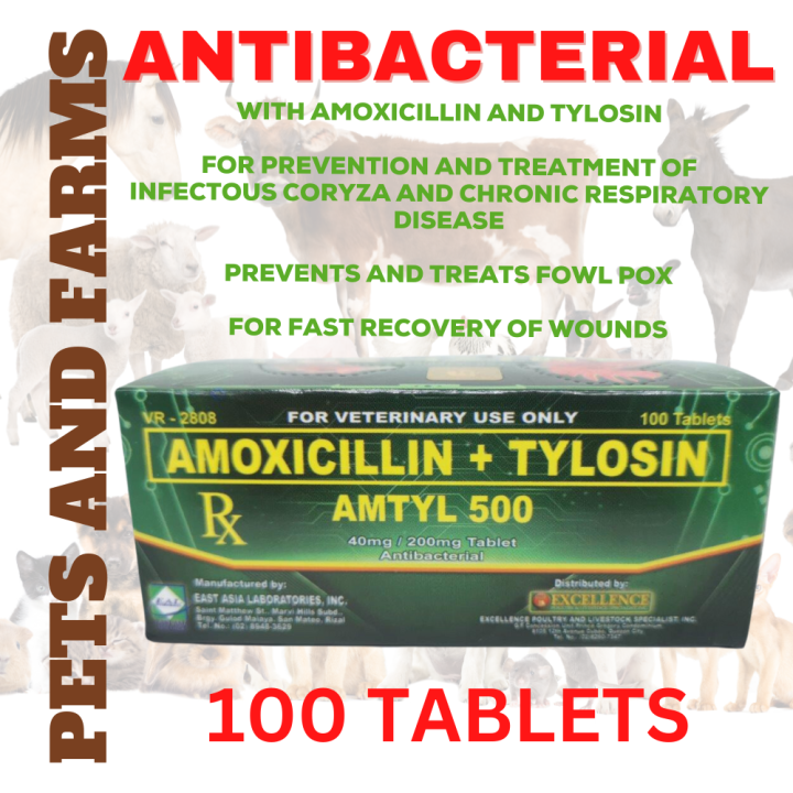 AMTYL 500 ANTIBACTERIAL TABLETS PARA SA HALAK PISIK SIPON NG MANOK ...