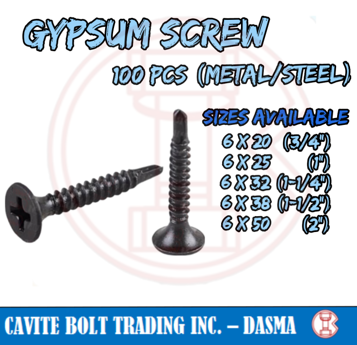 BLACK SCREW (FOR METAL/STEEL) 100 PCS | Lazada PH