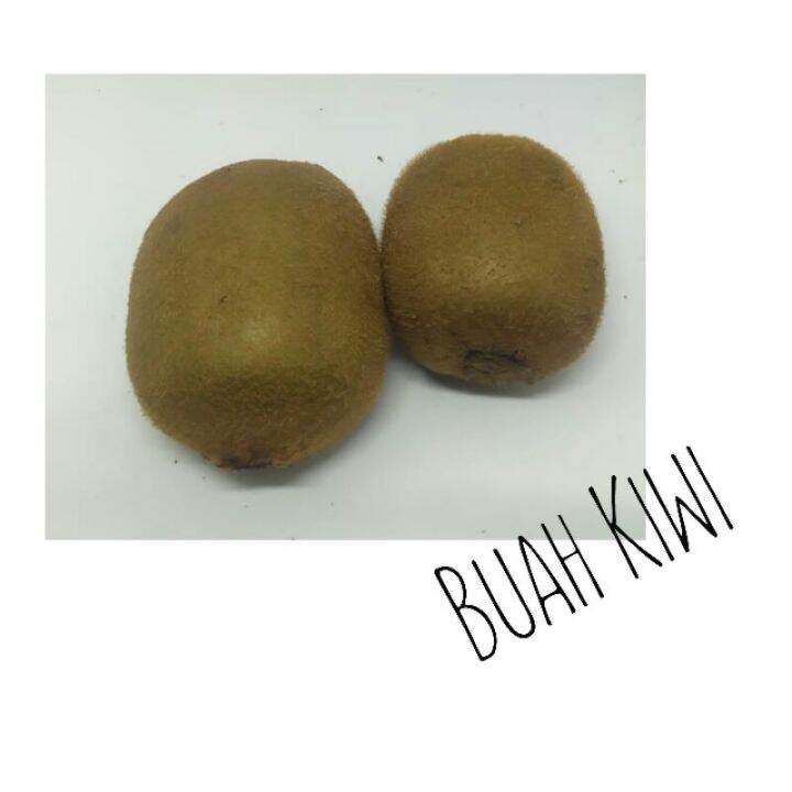Kiwi 500 gram | Lazada Indonesia