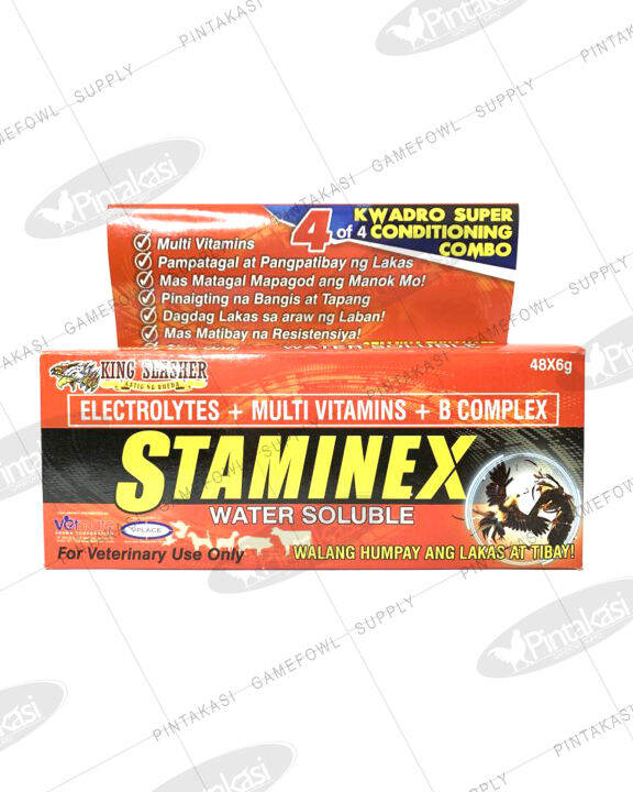 PINTAKASI King Slasher Staminex 6g x 48 sachet Electrolytes + Multi ...