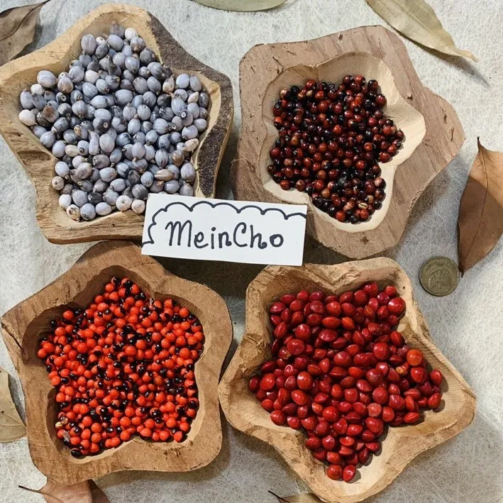 (1kg/3500biji) Kolase Biji Saga Merah Hitam Pohon Saga Telik Jali ...