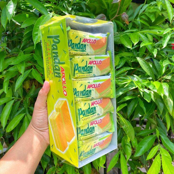 Apollo Bolu Lapis Pandan & Coklat isi 24 Pcs | Lazada Indonesia