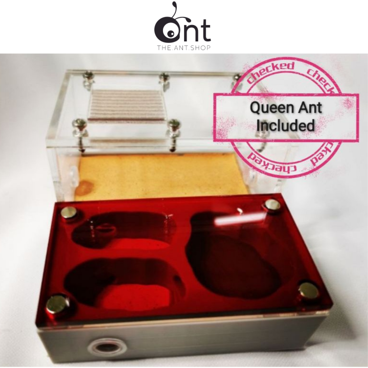 Ant Farm - Incubator | A Creation of Alcrylic, 3D Print & Plaster Ant ...