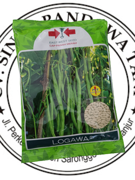 benih buncis logawa 500gram | Lazada Indonesia