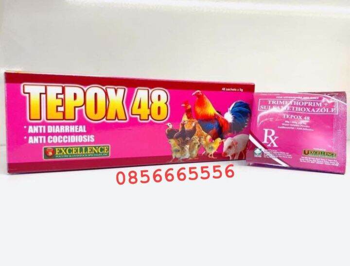 TEPOX 48 - Trị cầu trùng , phân xấu , tiêu chảy cho gà | Lazada.vn