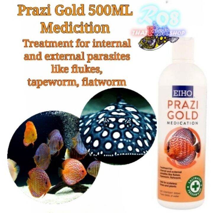 Prazi Gold Medication(500ML) For Fresh Water Fish Arowana, Stingray ...
