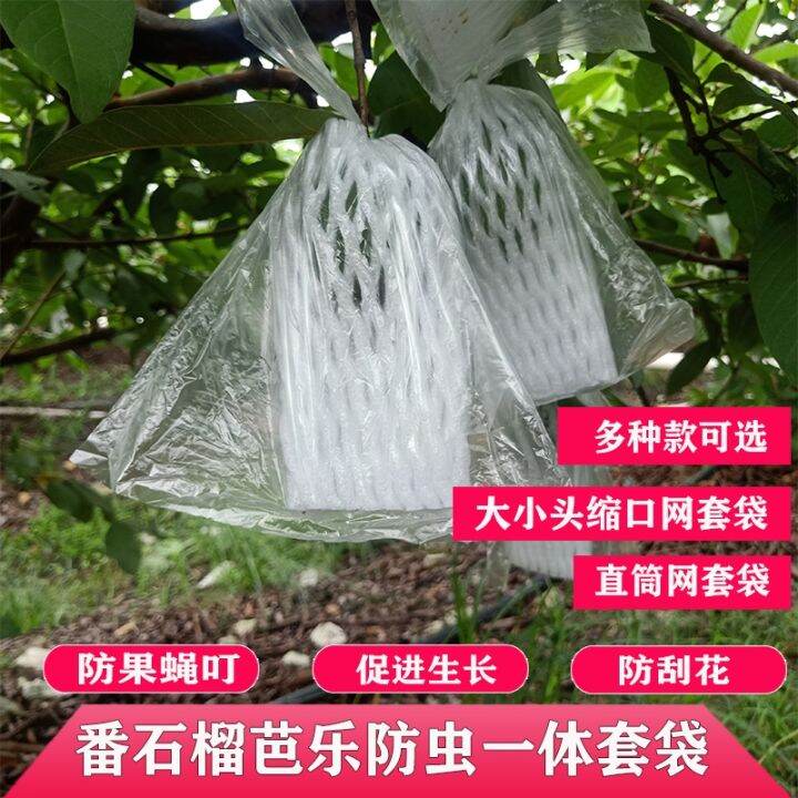 Guava bagging net bag guava insect-proof dedicated one-piece foam ...