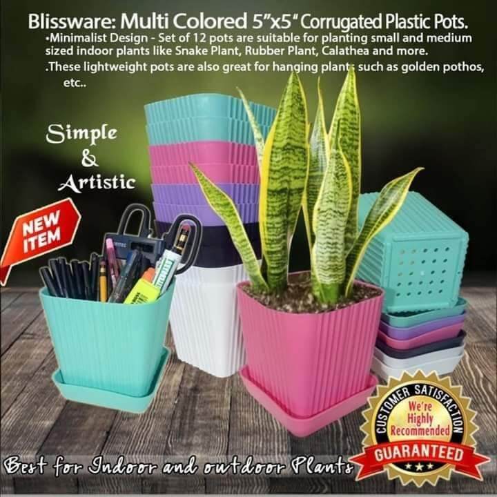 5x5 Inches BLISSWARE POTS (COLORED) With PLATE | Lazada PH