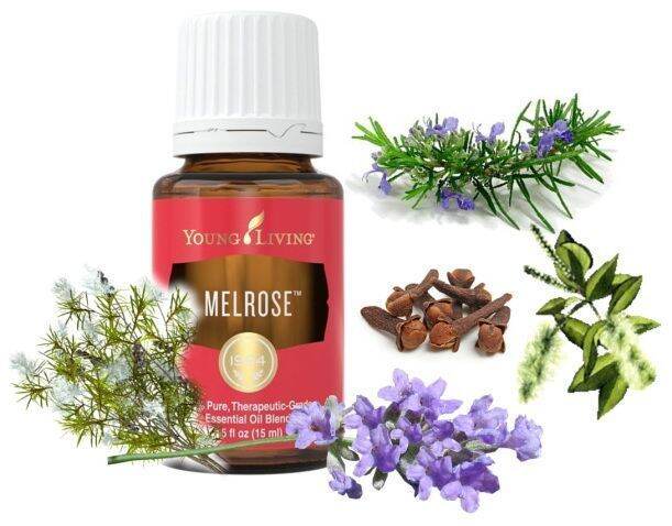 Melrose Young Living Essential Oil 5 ml by Young Living US (100% ...