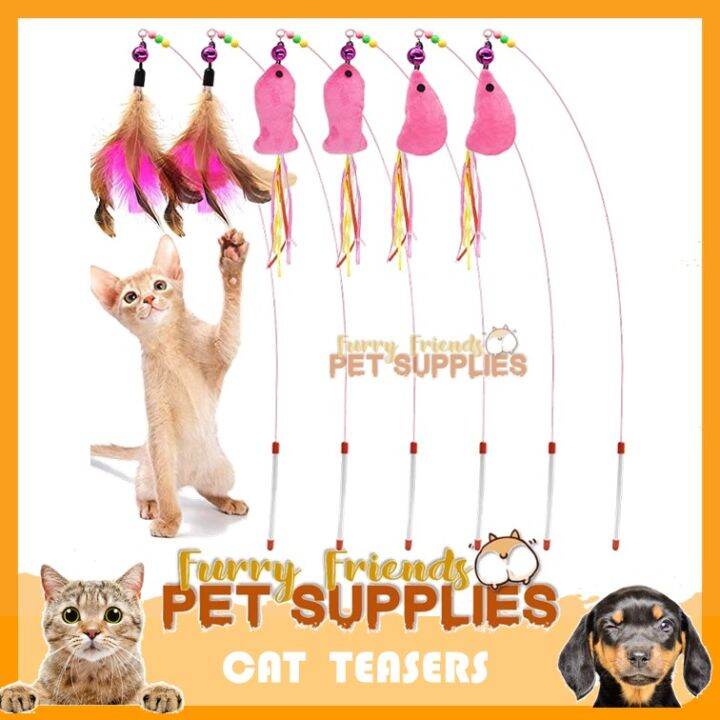 CAT TEASERS (Cat Toys) | Lazada PH