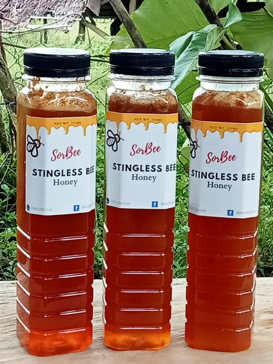 Sorsogon's Best SorBee Pure Raw Wild Forest Uncultured Unheated ...