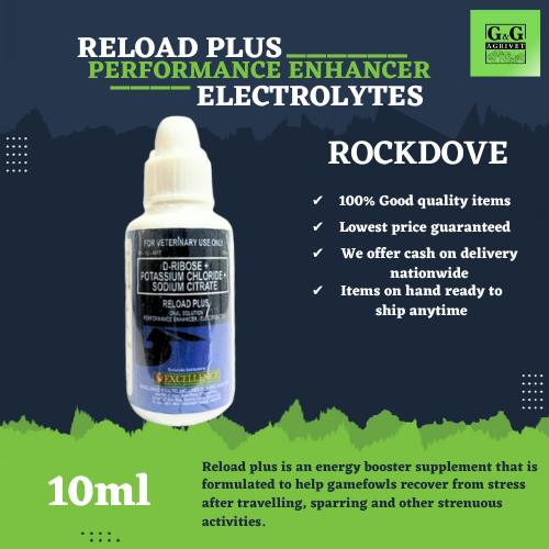[G&G AGRIVET] 1PC RELOAD PLUS - Oral Solution Performance Enhancer ...