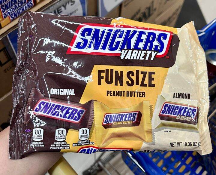 Snickers Variety Funsize 2937g Lazada Ph