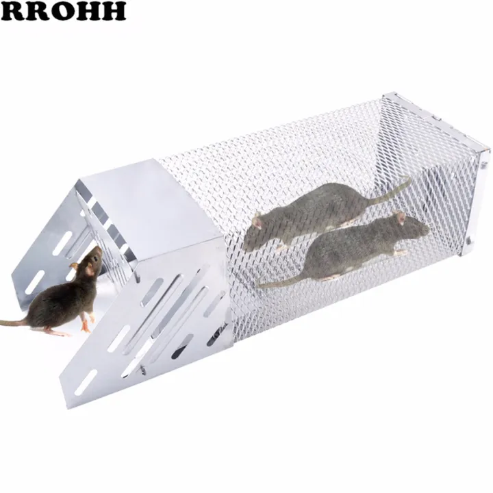 Strong Rat Trap Heavy Mouse Pest Animal Mice หนูแฮมสเตอร์กรงควบคุม ...