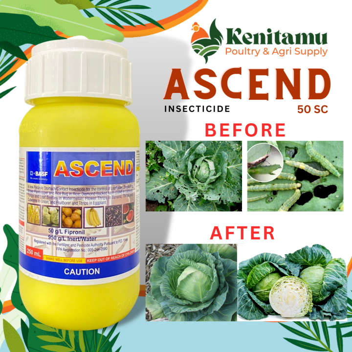 ASCEND 50 SC (INSECTICIDE) 250 ML | Lazada PH