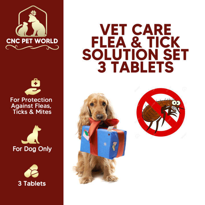 FLEA&TICK SOLUTION - CHEWABLES FOR DOGS 3 Tablets | Lazada