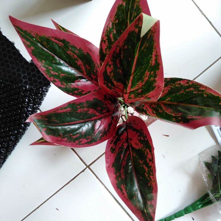 tanaman sri rejeki strep ungu bunga plastik bunga hias artificial ...