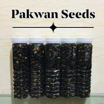 PAKWAN SEEDS (KUTKUTIN IN A JAR) | Lazada PH