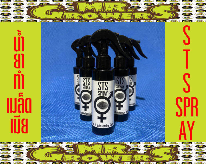 STS SPRAY 100 ML น้ำยาสร้างเกสรตัวผู้ | Lazada.co.th