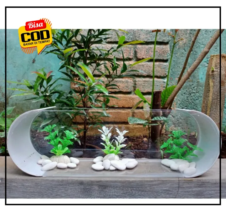 TERARIUM MINI AQUARIUM PLASTIK UNIK LUCU UNTUK IKAN KURA KURA - WARNA ...