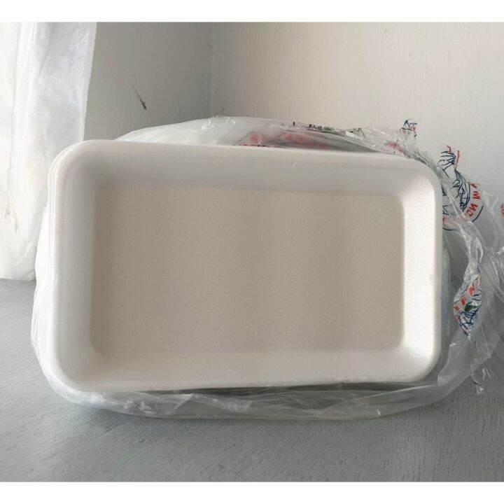 Disposable Styro Fruit Tray (for your food business samgyupsal meats ...