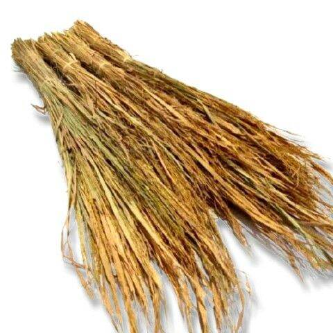 MERANG JERAMI/MERANG DARI POHON PADI/JERAMI PADI | Lazada Indonesia
