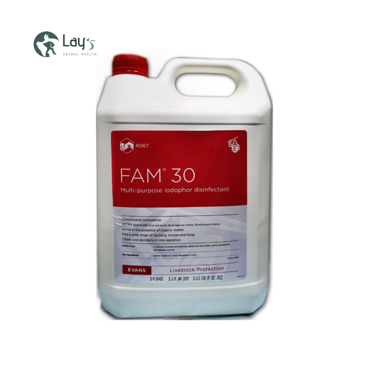 FAM30 - Multipurpose Iodophor Disinfectant Liquid (5L) 碘伏消毒剂 | Lazada