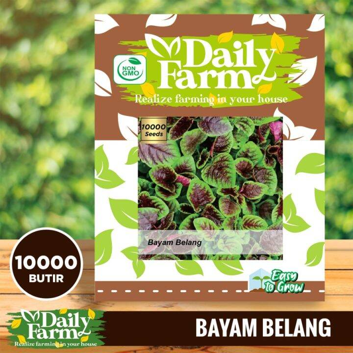 Daily Farm - Benih Bibit Sayur Bayam Batik Belang | Lazada Indonesia