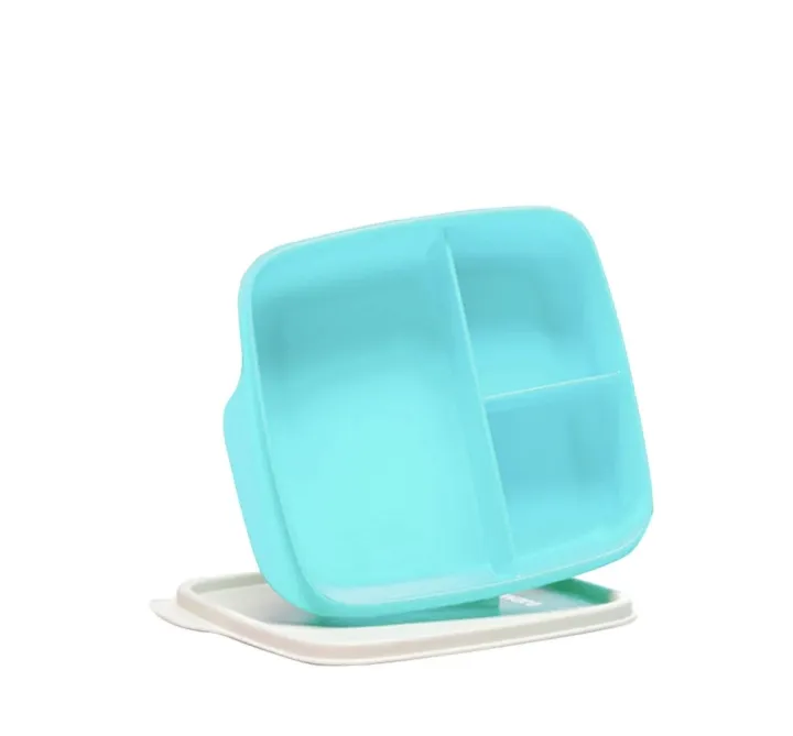 Tupperware Square Divided Lunch Box 550ml - Skylight | Lazada PH